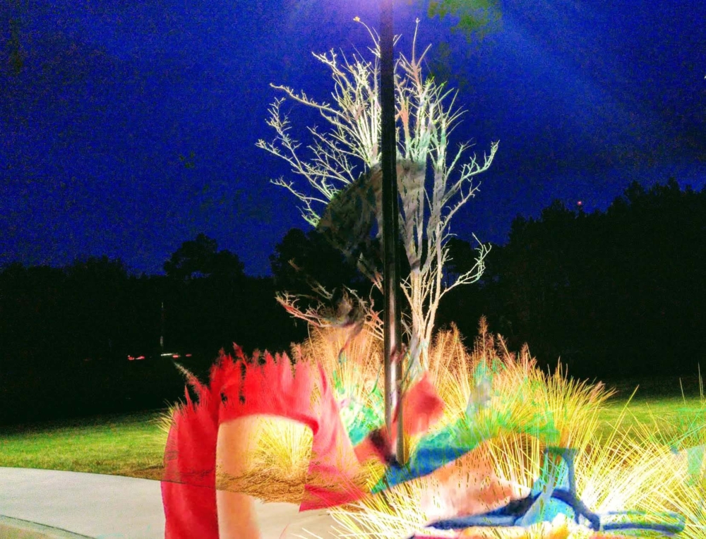 Photo-paintings - John Gerstner